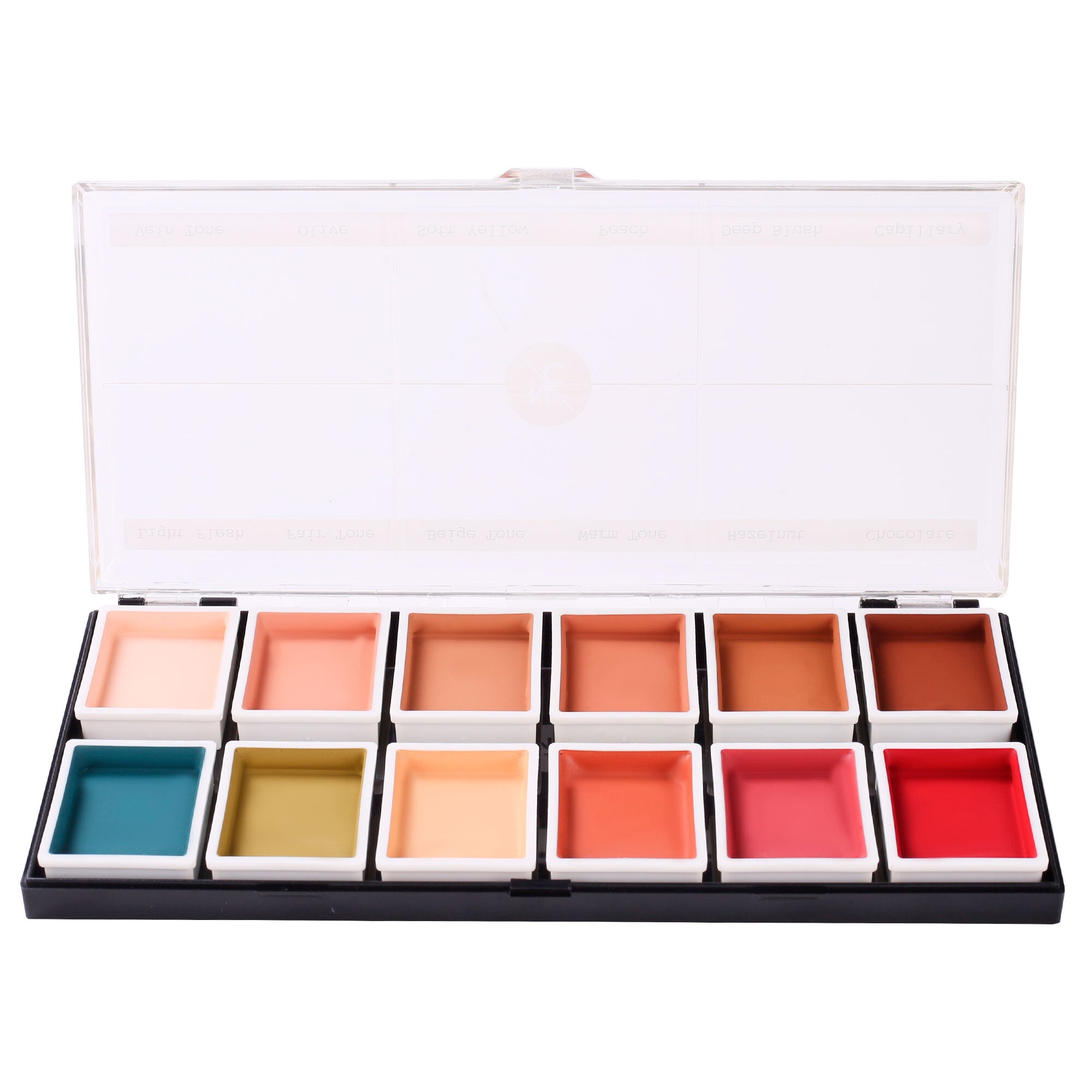 12 Color Flesh Tone Alcohol Activated Palette | Narrative Cosmetics