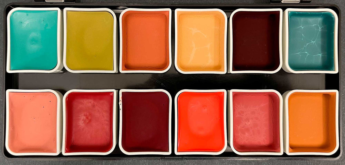 12 Color Complexion Alcohol Activated Palette – Narrative Cosmetics